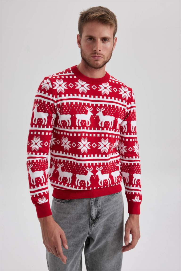 Red Man Standard Fit Crew Neck Knitwear Pullover 2927486 | DeFacto