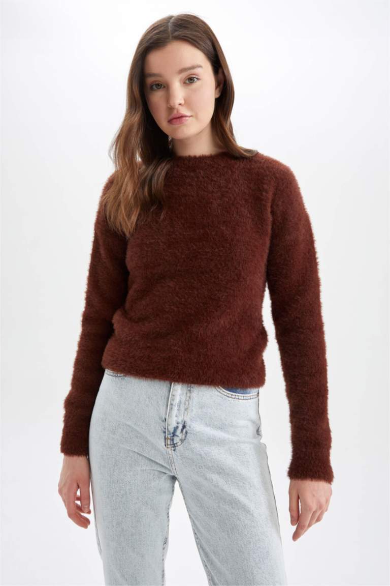 Brown WOMAN Regular Fit Crew Neck Pullover 2480905 | DeFacto