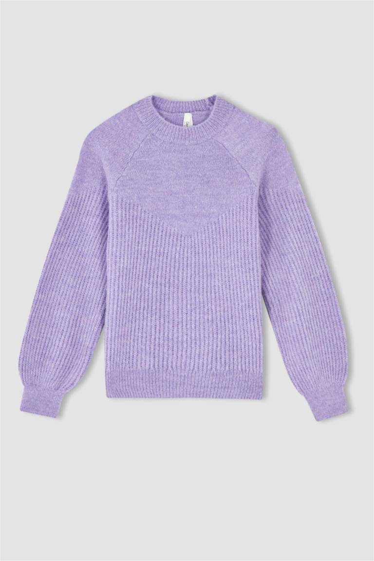 Purple GIRLS & TEENS Girl Regular Fit Crew Neck Pullover 2501583 | DeFacto
