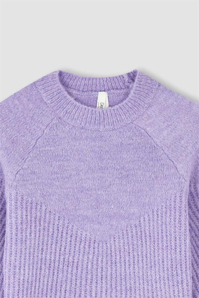 Purple GIRLS & TEENS Girl Regular Fit Crew Neck Pullover 2501583 | DeFacto
