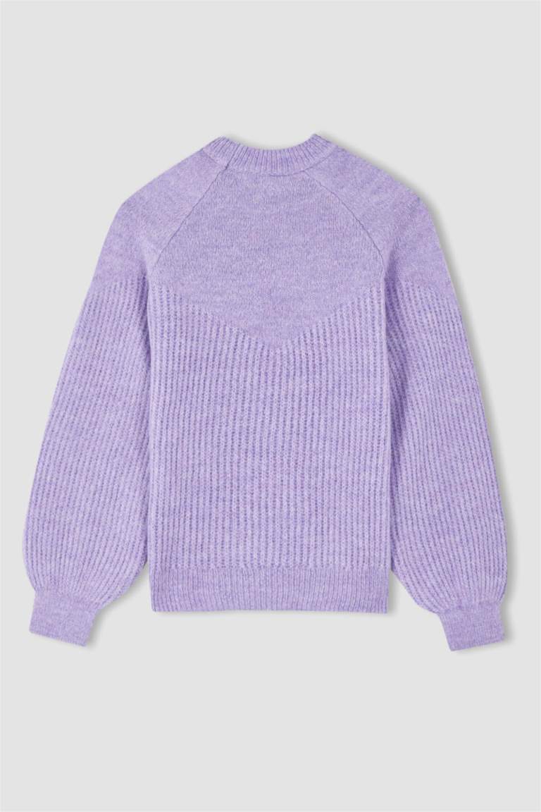 Purple GIRLS & TEENS Girl Regular Fit Crew Neck Pullover 2501583 | DeFacto