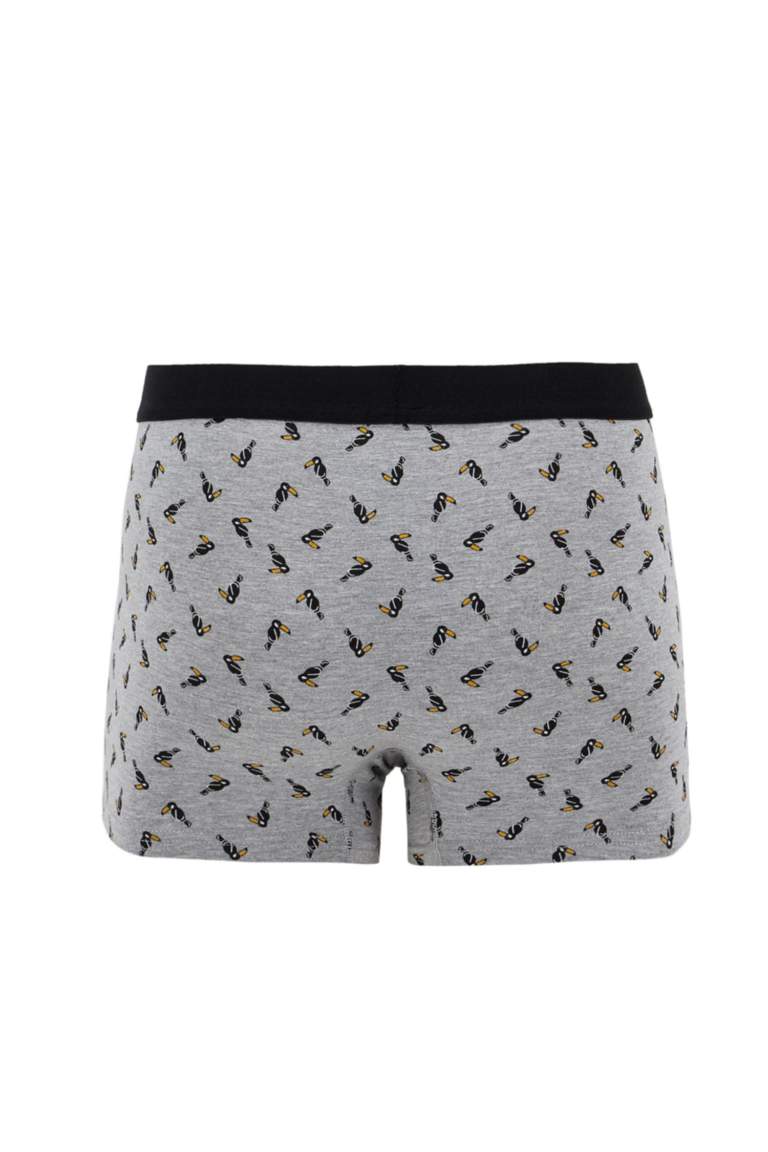 Grey MAN Knitted Basic Boxers 1756621 | DeFacto