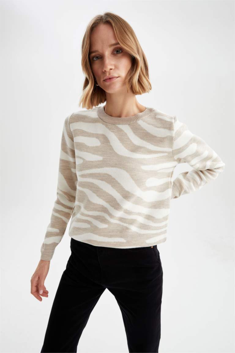 Bej Kadın Traditional Regular Fit Bisiklet Yaka Kazak 2336584 | DeFacto