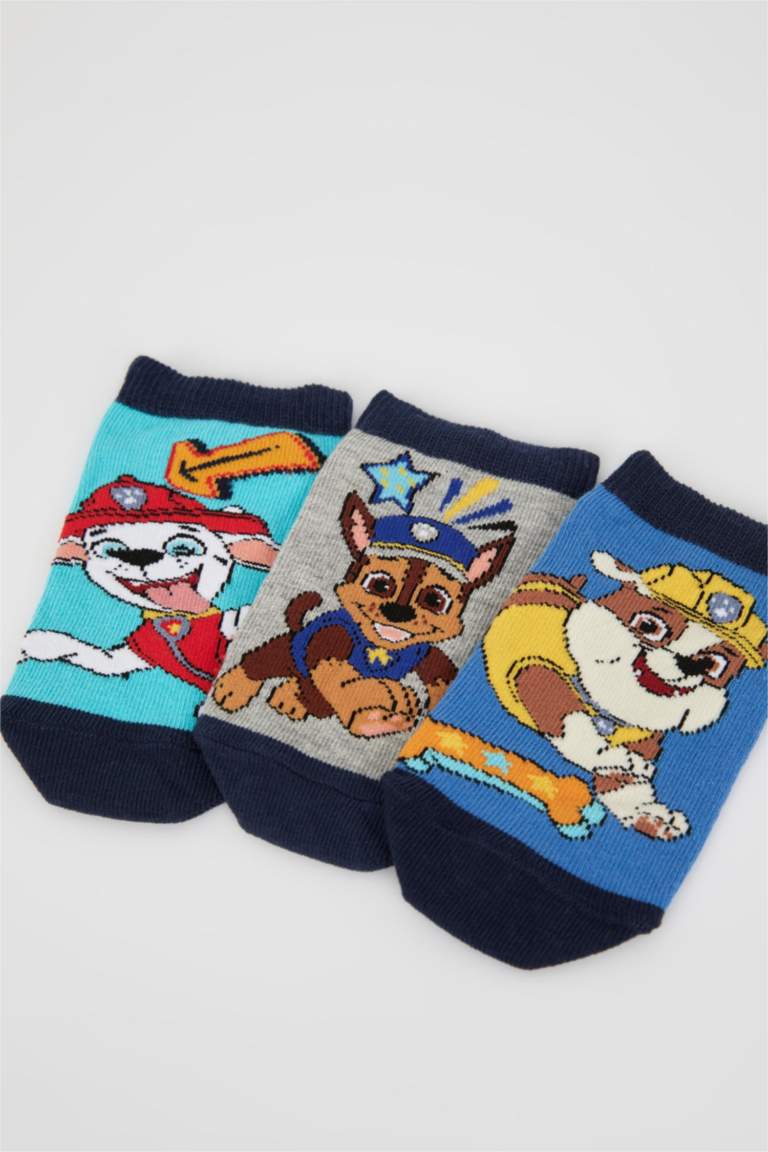 Mixed Color Boys & Teens Boys PAW Patrol Licensed Cotton 3 Pack Short ...