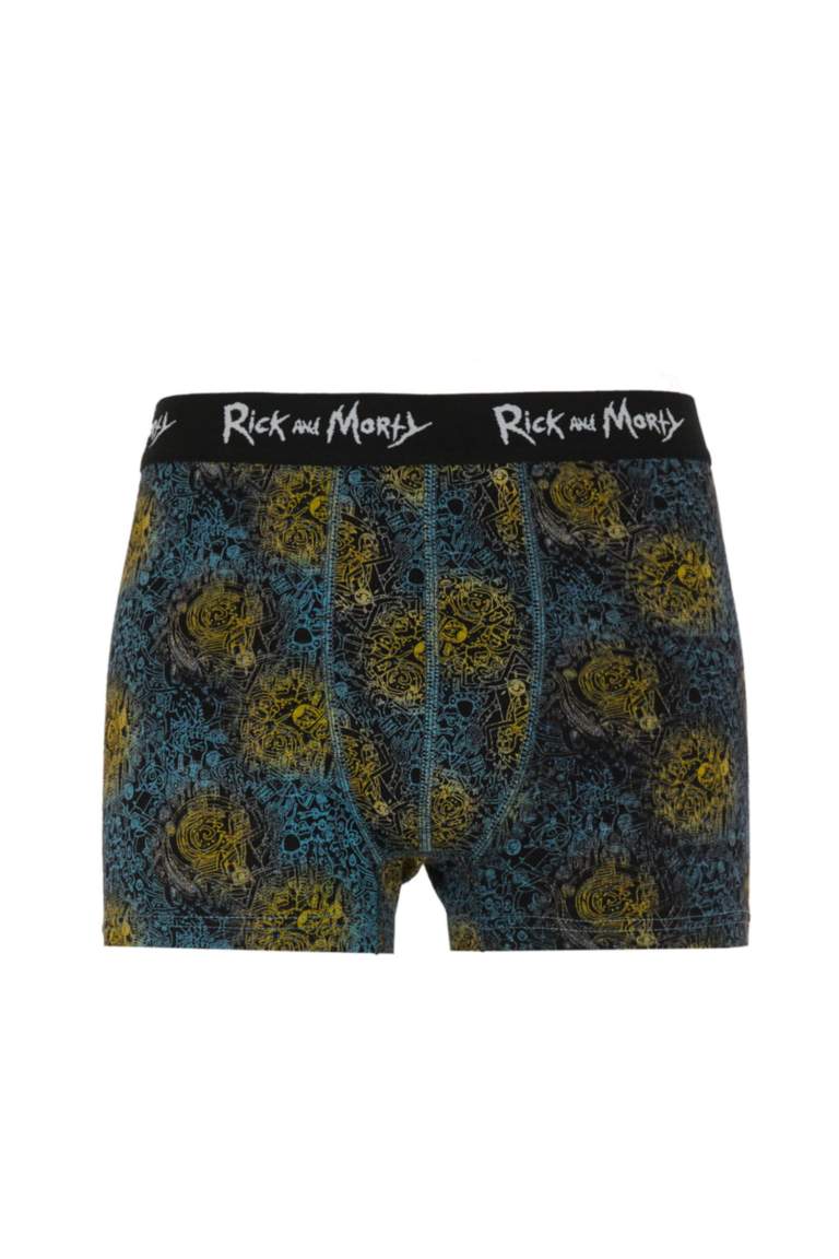 Antrasit Erkek Rick and Morty Regular Fit 2'li Boxer 2494625 | DeFacto