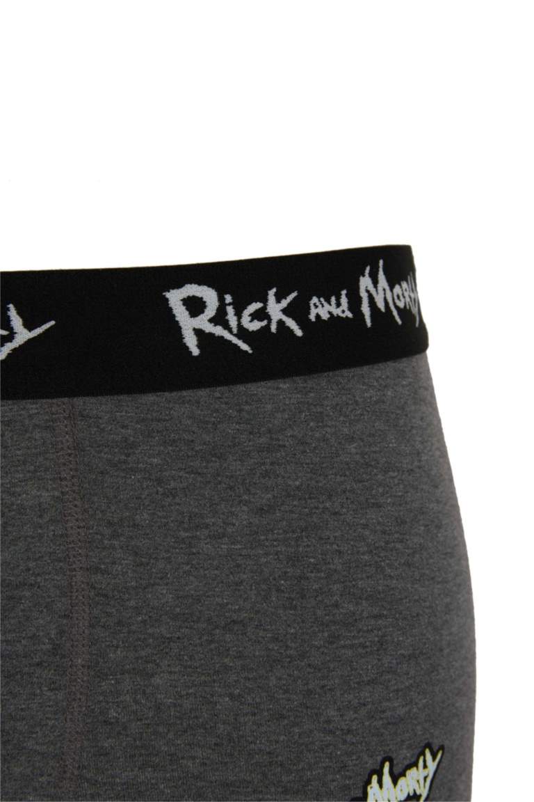 Antrasit Erkek Rick and Morty Regular Fit 2'li Boxer 2494625 | DeFacto