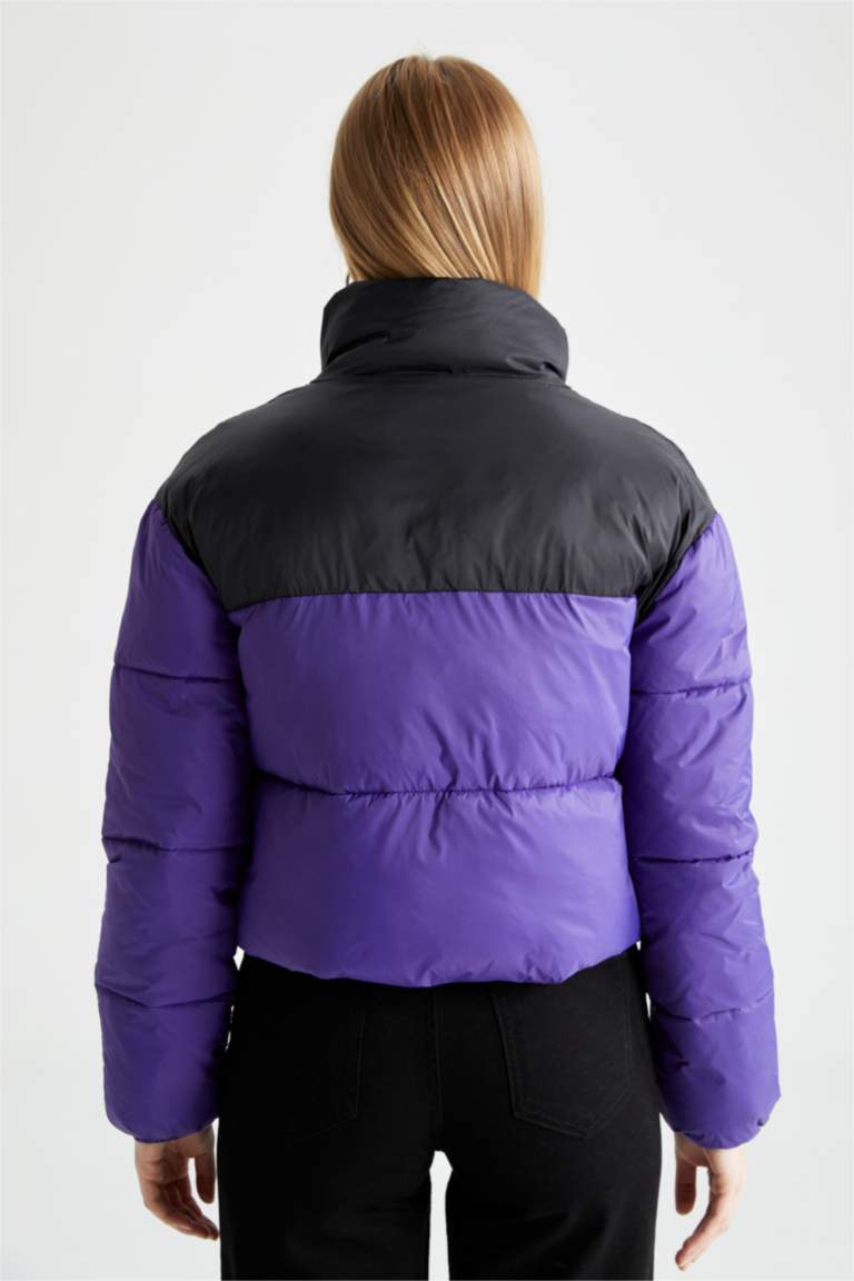 Purple Woman Waterproof Color Block Puffer Jacket 2486151 | DeFacto