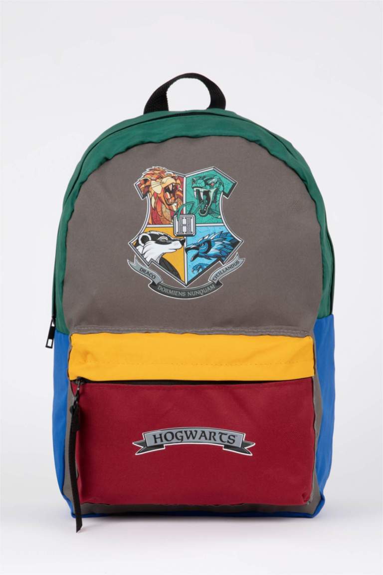 Mixed Color BOYS & TEENS Harry Potter Licensed Backpack 2545202 | DeFacto