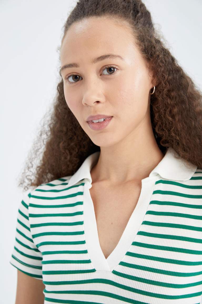 Green Woman Slim Fit Polo Neck Striped Short Sleeve Crop T Shirt