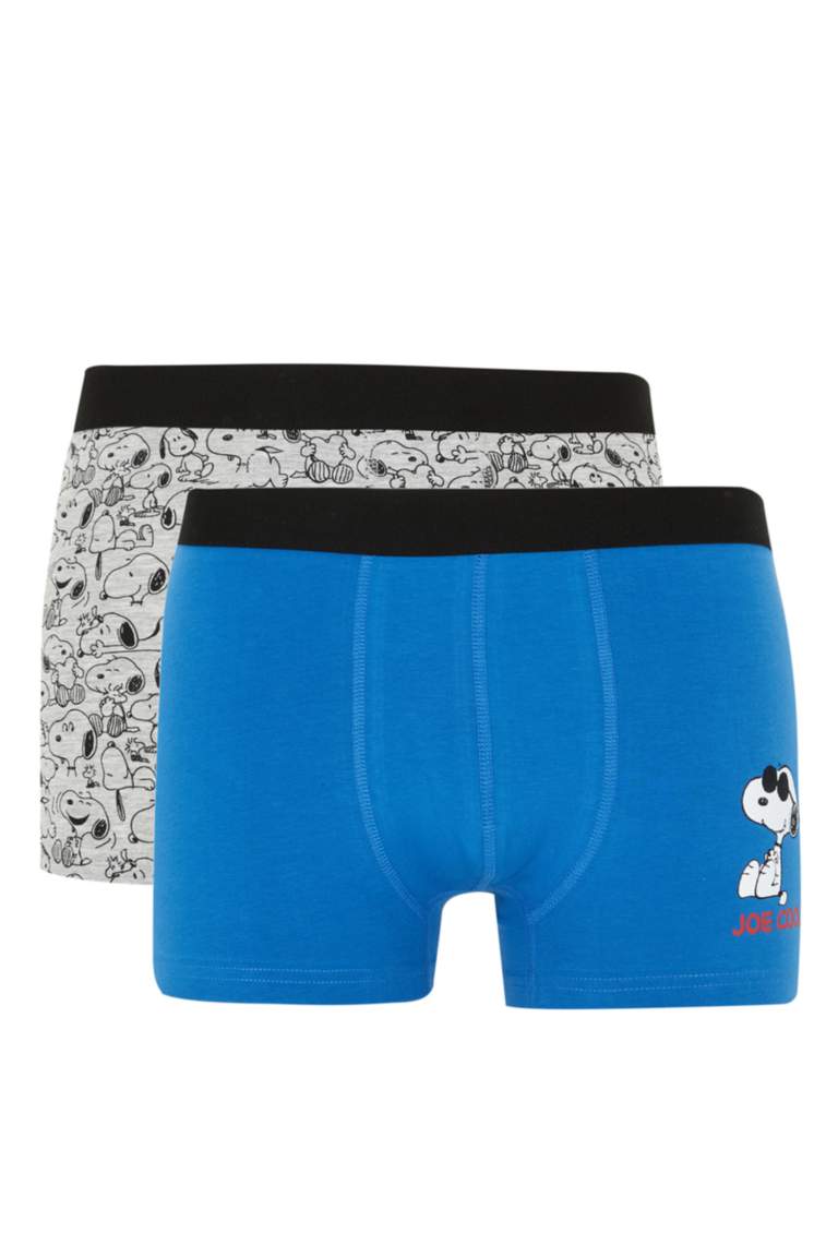 Blue Man 2 piece Regular Fit Snoopy Licensed Boxer 2667765 | DeFacto