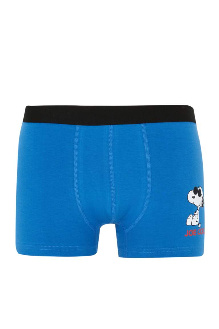 Blue MAN 2 piece Regular Fit Snoopy Licensed Boxer 2667765 | DeFacto