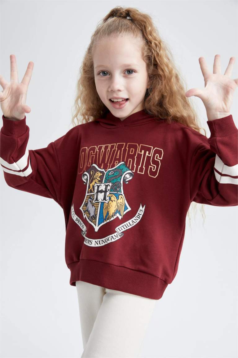 Bordeaux GIRLS & TEENS Regular Fit Harry Potter Licensed Sweatshirt ...