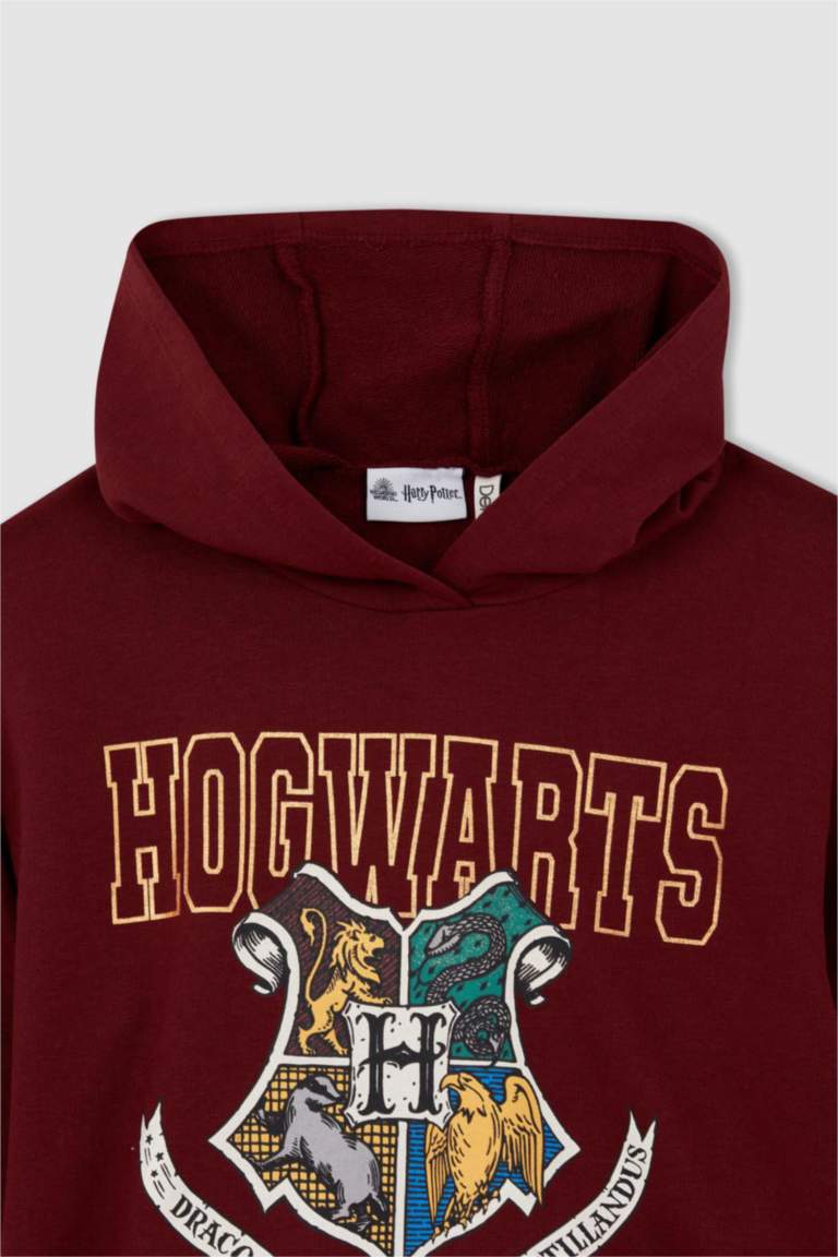 Bordeaux GIRLS & TEENS Regular Fit Harry Potter Licensed Sweatshirt ...