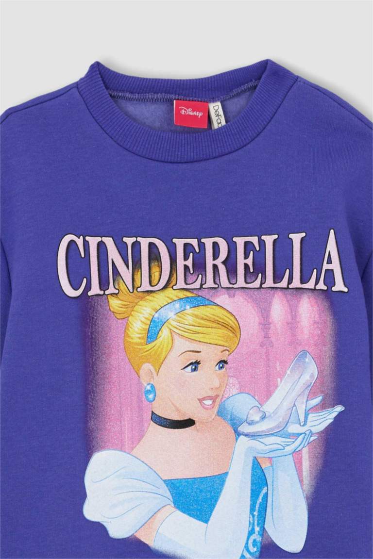 Purple GIRLS & TEENS Regular Fit Disney Princess Licensed Sweatshirt ...