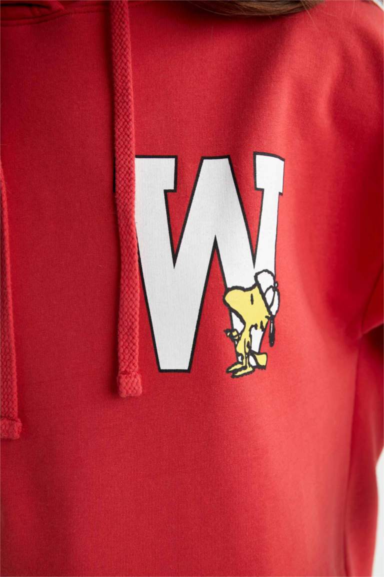 Red WOMAN Oversize Fit Snoopy Licensed Long Sleeve Sweatshirt 2718068 ...