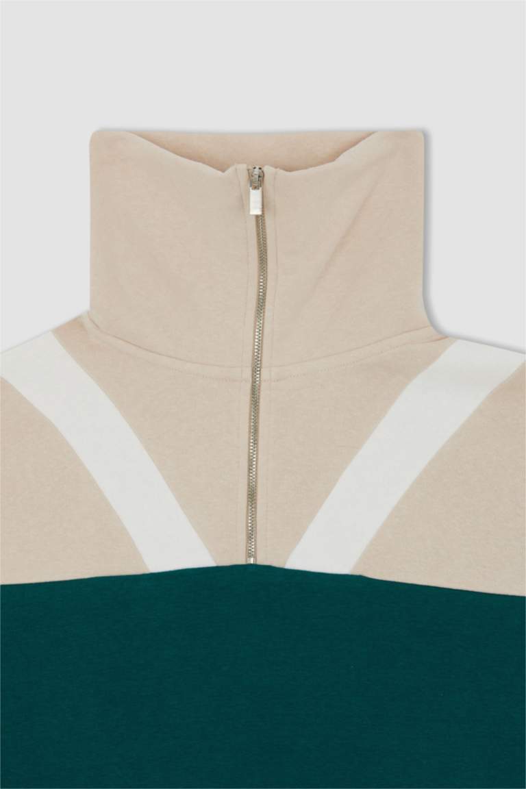 Green WOMAN Regular Fit Color Block Long Sleeve Sweatshirt 2665385 ...