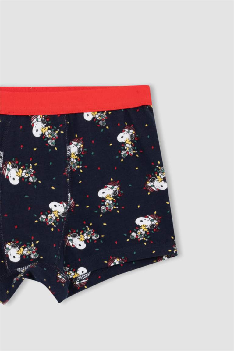 Grey BOYS & TEENS 2 piece Regular Fit Snoopy Licensed Knitted Sets ...