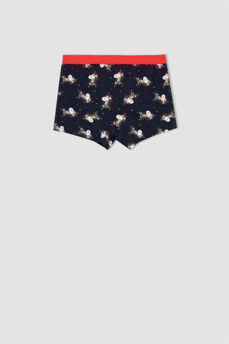 Grey BOYS & TEENS 2 piece Regular Fit Snoopy Licensed Set 2687184 | DeFacto