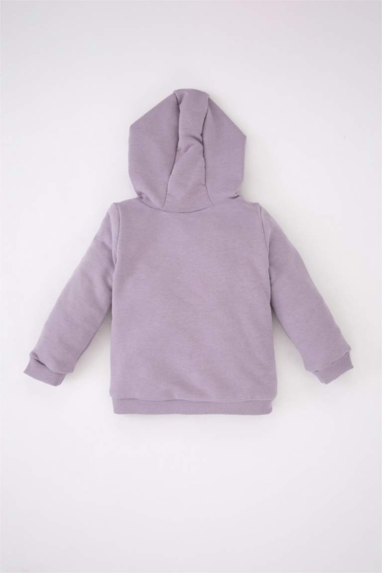 Purple Baby Boy Baby Boy Hooded Printed Sweatshirt with Soft Fluffy ...
