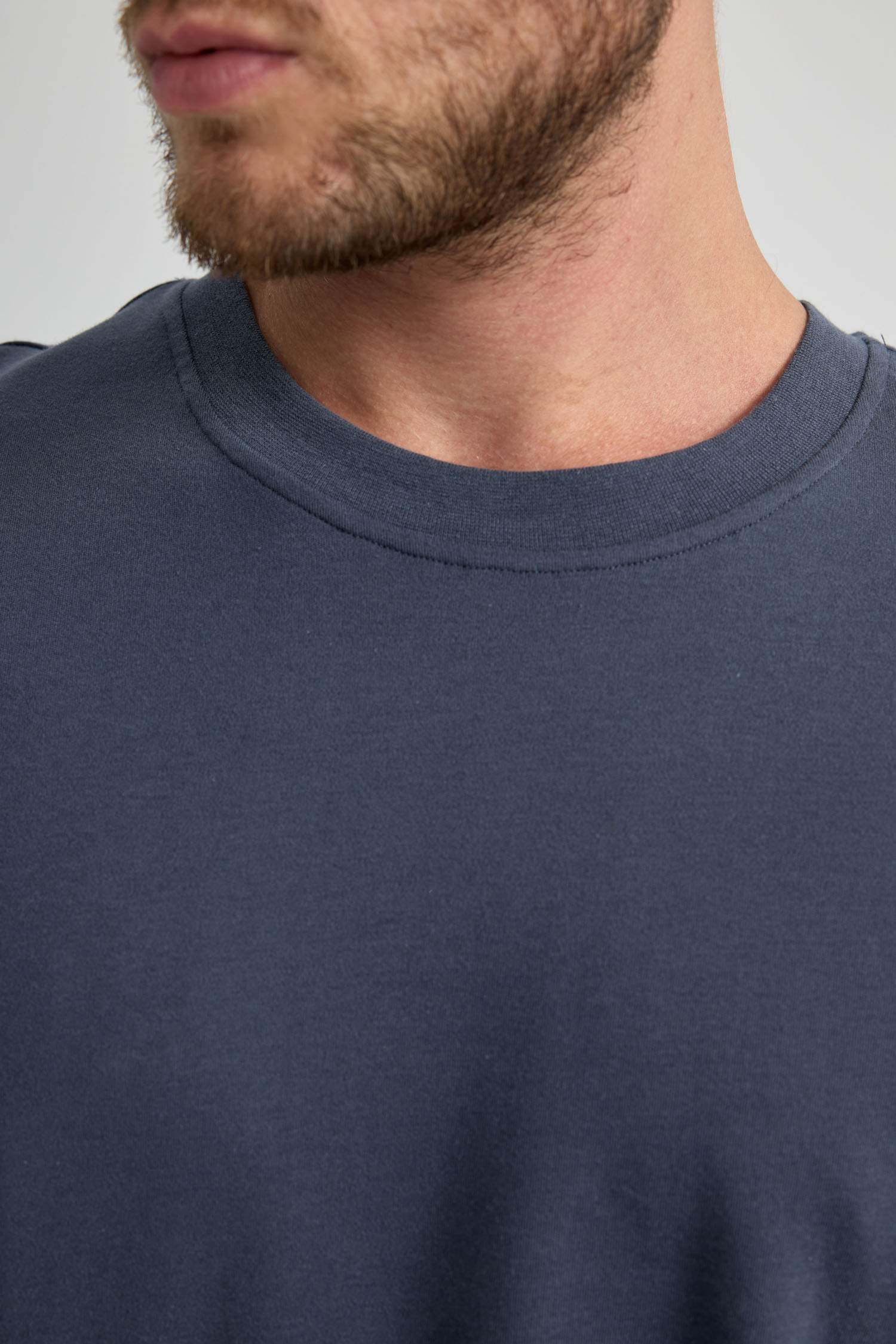 Grey Man Regular Fit Crew Neck T-Shirt 2941703 | DeFacto