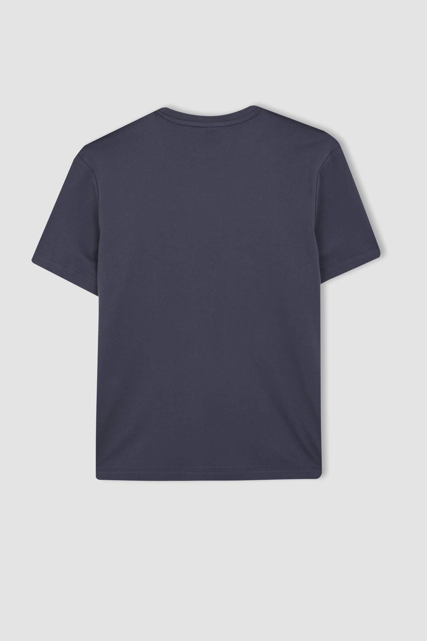 Grey Man Regular Fit Crew Neck T-Shirt 2941703 | DeFacto