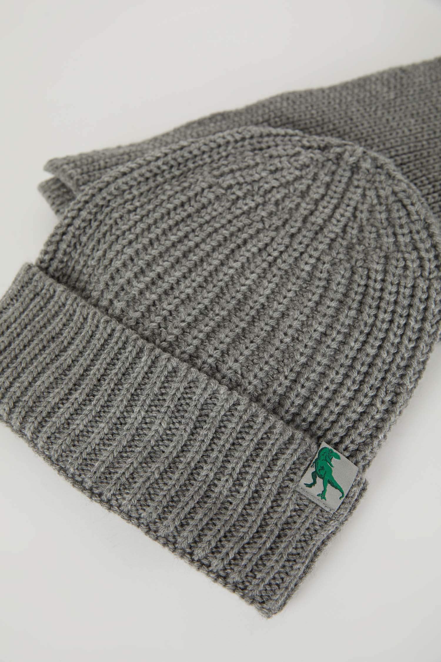 Grey Boys & Teens Boys Scarf Beret Set of 2 2891239 | DeFacto