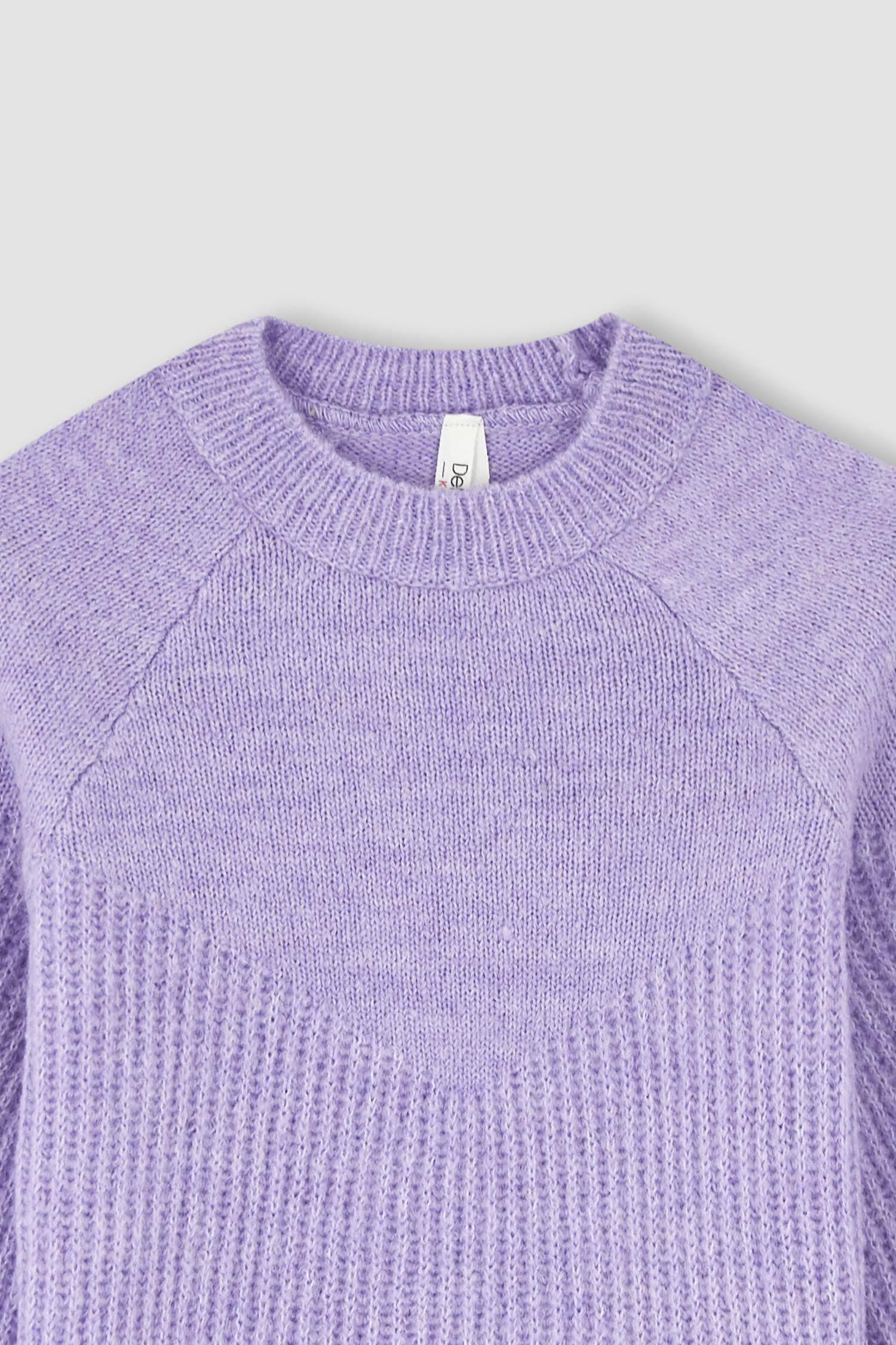 Purple GIRLS & TEENS Girl Regular Fit Crew Neck Pullover 2501583 | DeFacto