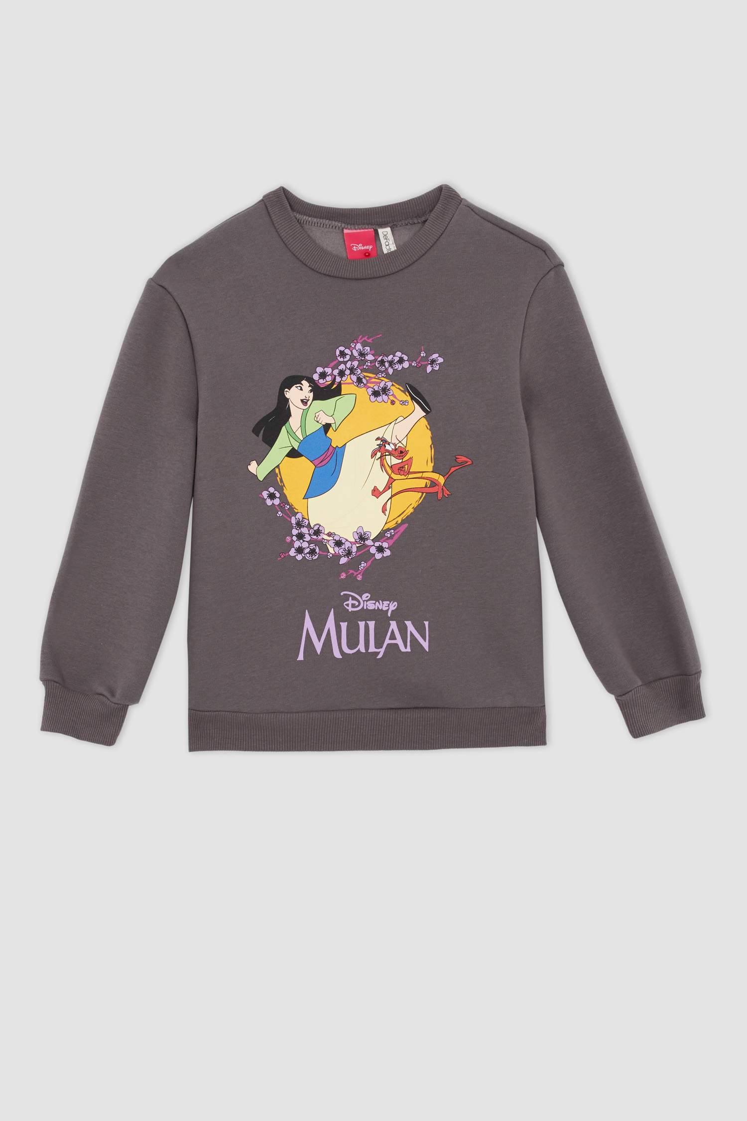 Grey Girls & Teens Girls Regular Fit Thick Fabric Disney Princess ...