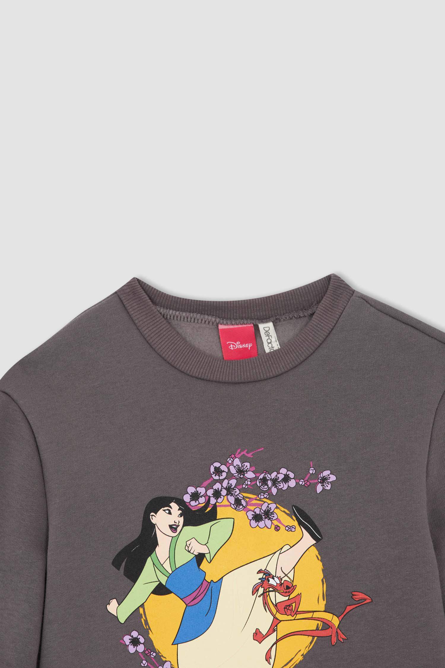 Grey Girls & Teens Girl Disney Princess Crew Neck Sweatshirt 2665334 ...