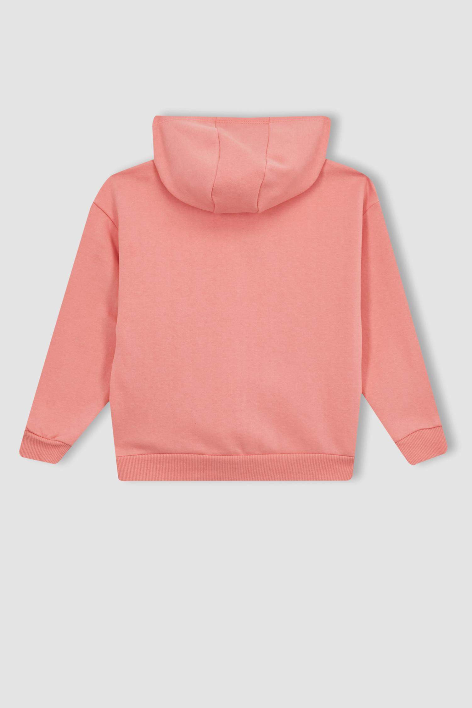 Pink Girls & Teens Regular Fit Hooded Sweatshirt 2689409 | DeFacto