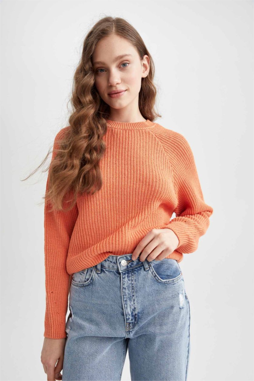 Orange WOMAN Regular Fit Crew Neck Knitwear Pullover 2447525 | DeFacto